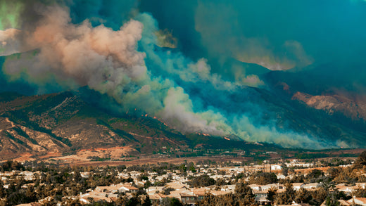 How to Keep Your Air Clean During Wildfires | Cowaymega