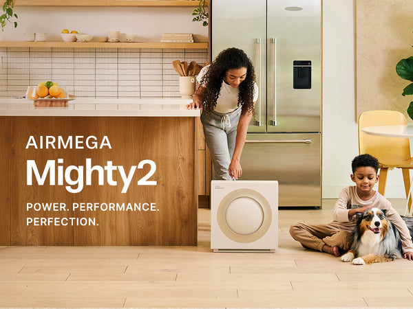Airmega Mighty2 AP-1512N – Cowaymega